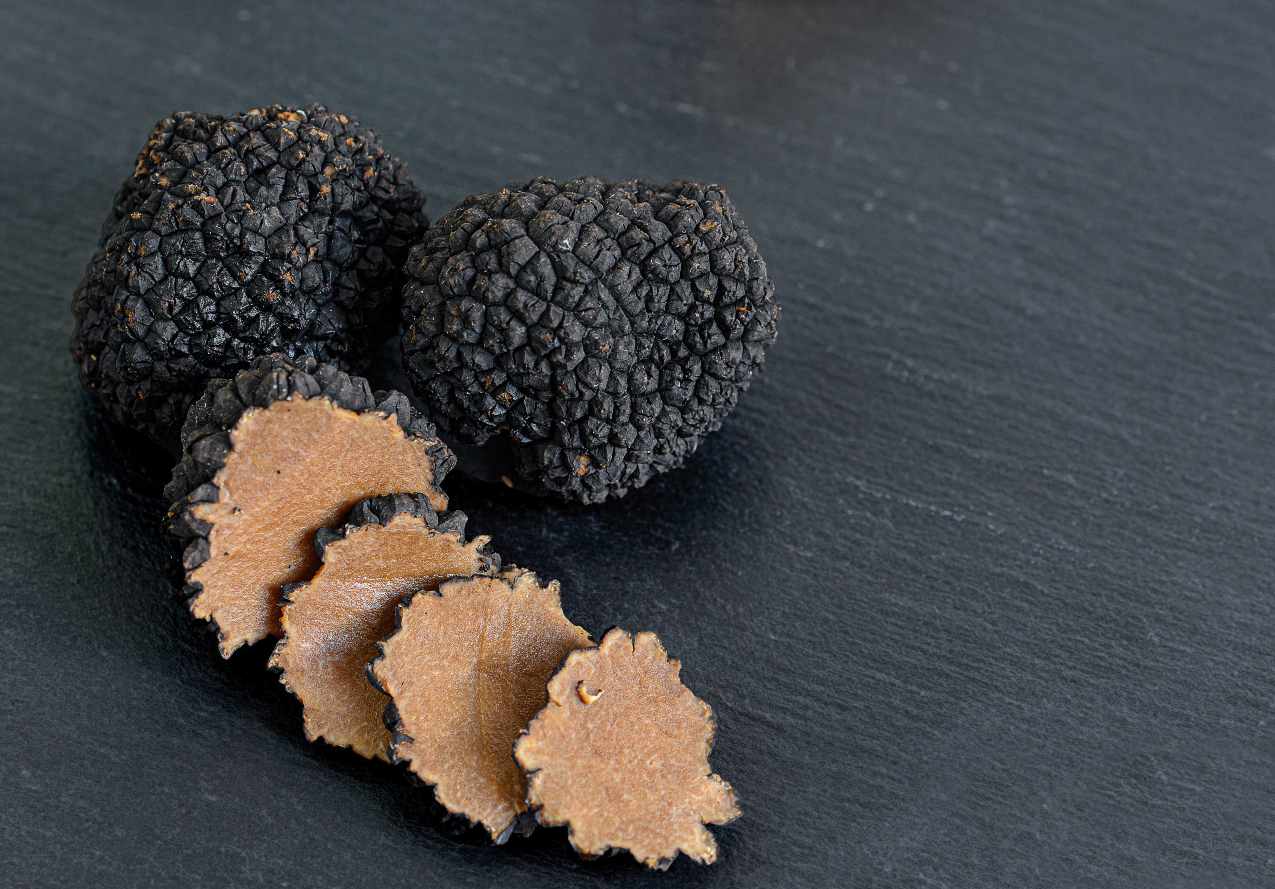 Domestic Truffle Company – Fresh truffles for the new world.